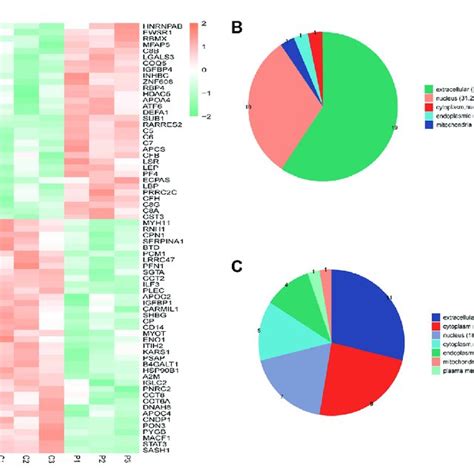 A Clustering Heat Map Of The Protein Expression Patterns Of Different