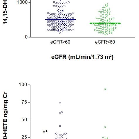 Diagnosis Algorithm CKD Chronic Kidney Disease DKD Diabetic Kidney Download Scientific