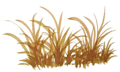 Watercolor Grass Pngs For Free Download Watercolor Grass Pngs For Free Download