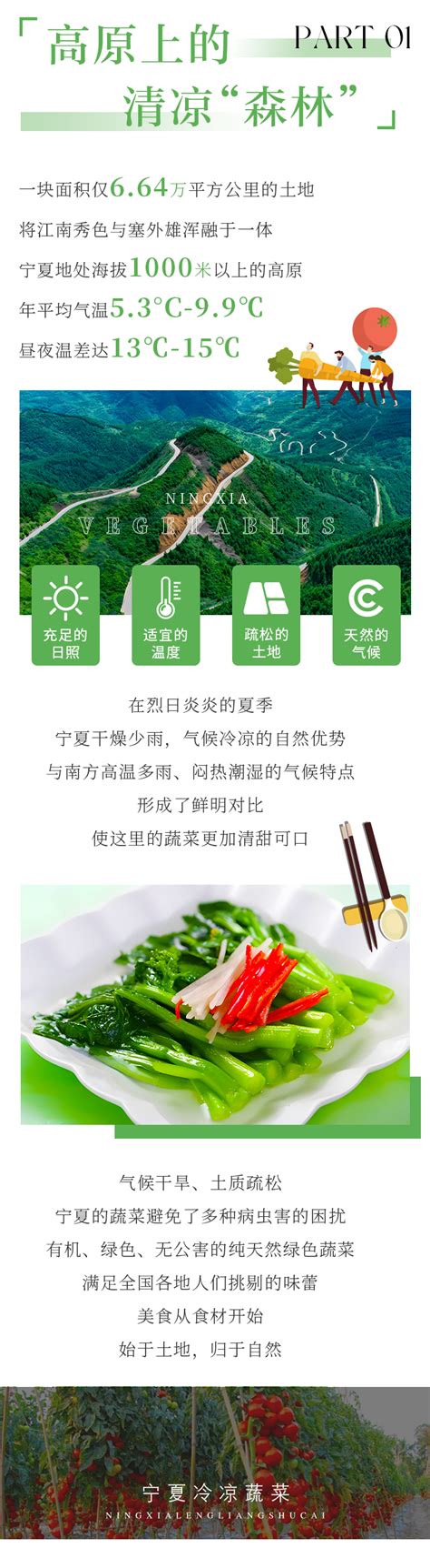 宁夏品质中国行银川站 六特产业之冷凉蔬菜热销全国的高原美味 知乎