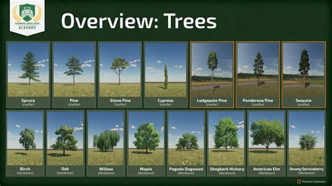 Farming Simulator Introduction To Forestry Tree Species