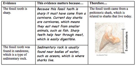 Sample Completed Reasoning Tool The Argumentation Toolkit