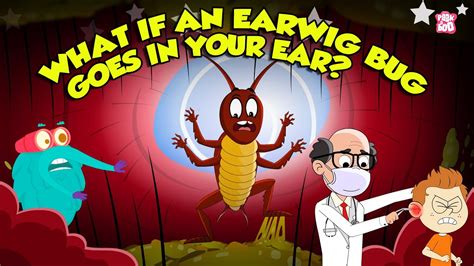 Earwig Bite Or Pinch See The Real Pictures And What To Do Next