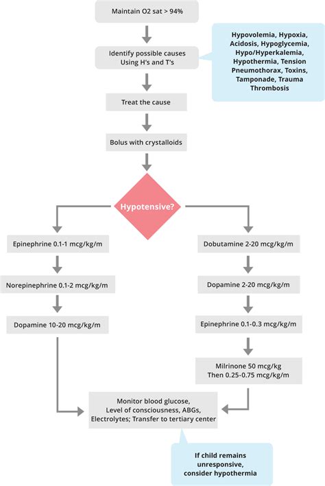 Pals Management Of Shock After Resuscitation Acls Medical Training