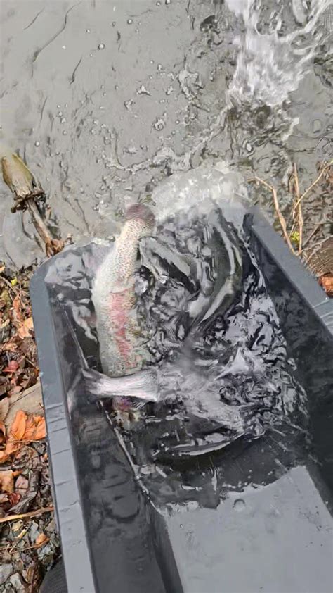 Спортен Риболов с Владо Тричков