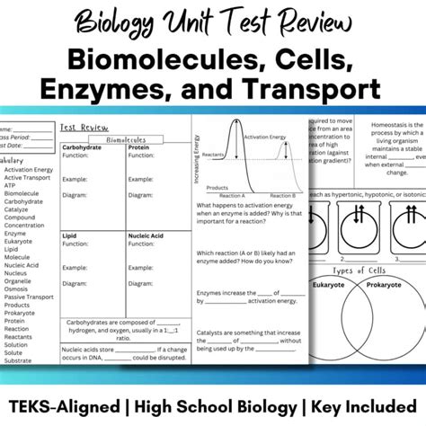 Biology Unit Test Review Biomolecules Cells Enzymes And Transport