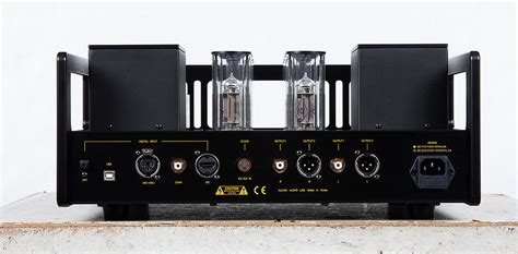 Allnic Nature Vs Nurture Kevalin Audio