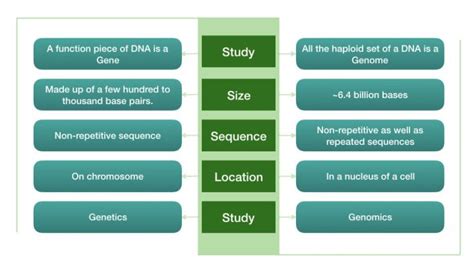 Genome Vs Gene” An Unusual Comparison