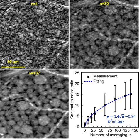 Averaging Registered Ao Oct Images Improves Clarity Of Gcl Somas Download Scientific Diagram