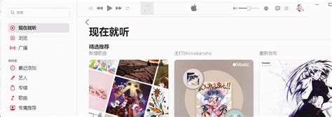 BUG Cannot Open Preference Tab Issue Ciderapp Apple Music Electron GitHub