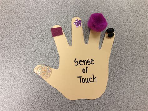 Our Five Senses Artofit