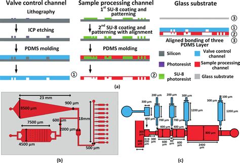 The Fabrication And Dimensional Parameters Of The Microfluidic Chip Download Scientific