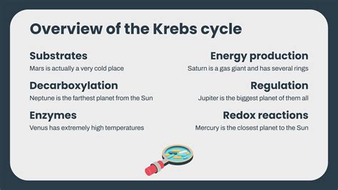 Science For High Babe Krebs Cycle Google Slides PPT