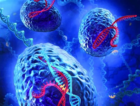 Rna与dna配对（改变一个基因，传播到整个种群） 说明书网