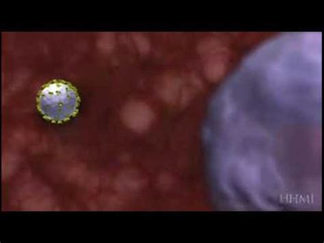 Sex Viruses Classification 1 YouTube