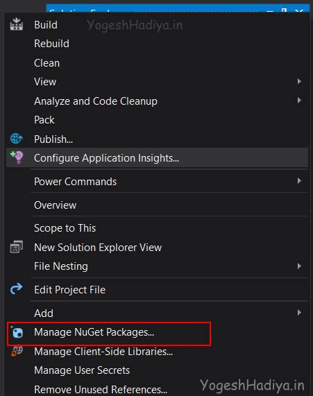 Server Side Rendering Of Datatables Js In Aspnet Core Tutorials Link