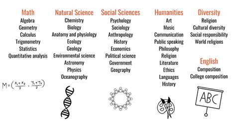 Top 11 Questions About College Classes Bookscouter Blog