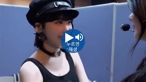 꿀떨어지는 언니들과 꼬부기 만채 걸그룹 갤러리 에펨코리아