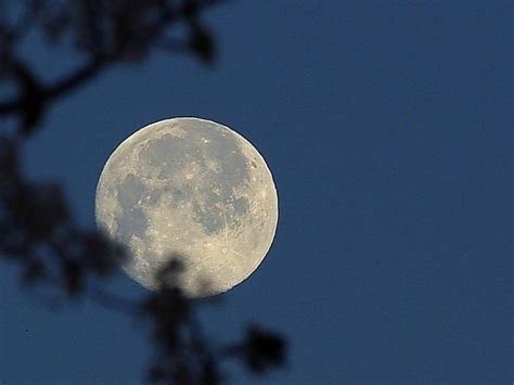 Free Picture Moon Clouds