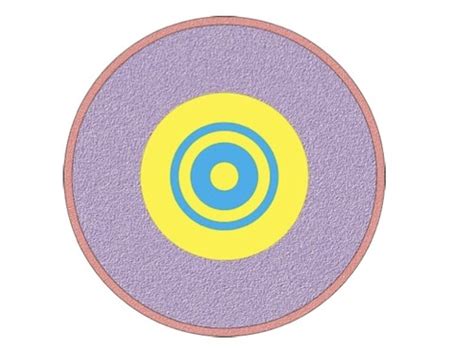 Basic Contact Lenses Managing Presbyopia Flashcards Quizlet