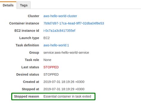 AWS Checking Stopped Tasks For Errors Simply Not Simple