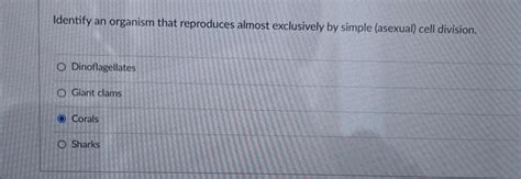 Solved Good Morning Kindly Answer These Questions In 10