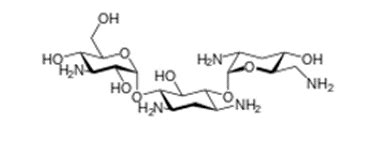 Clinical Pharmacology Of Tobramycin ClinicSearch