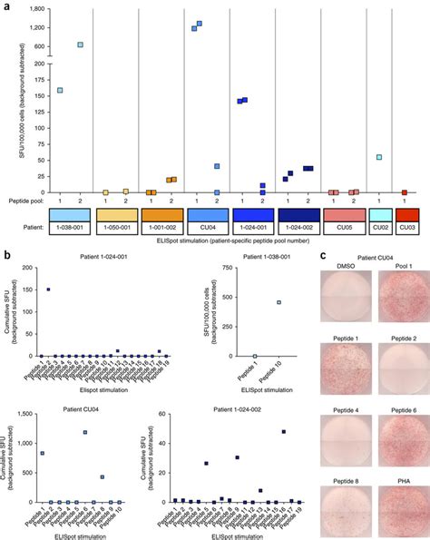 Identification Of Neoantigen Reactive T Cells From Patients With Download Scientific Diagram