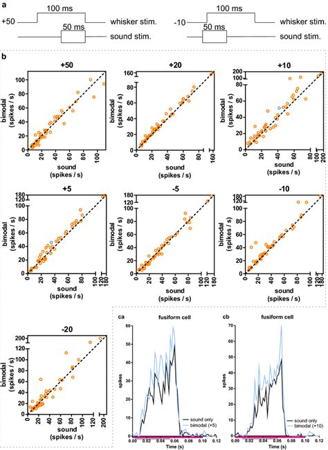 Bimodal Responses In Fusiform Cells A Two Schematic Examples Of How Download Scientific