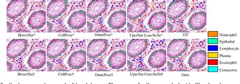 Figure From UniCell Universal Cell Nucleus Classification Via Prompt Learning Semantic Scholar