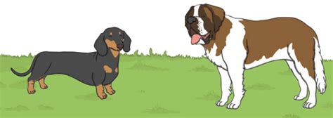 What Is Associative Learning Answered Twinkl Teaching Wiki