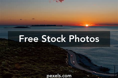 Paraspinal Muscle Photos Download The Best Free Paraspinal Muscle