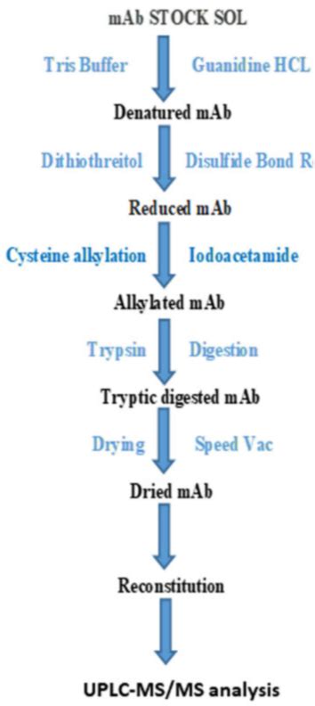 Figure 1 From Uplc Msms Based Analysis Of Trastuzumab In Plasma Samples Application In Breast