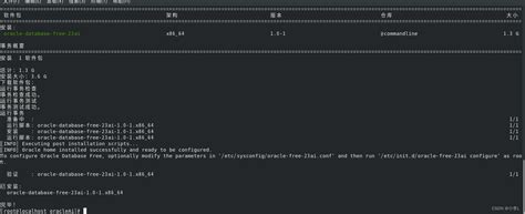 Oracle23ai安装。 Csdn博客