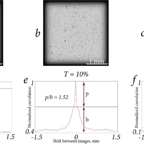 Particle Suspensions A C With Δ L 015 Mm N 3 N P 10 T 0