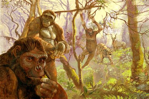 4 4 Million Year Old Ardipithecus Hand Reveals ‘big Evolutionary Jump