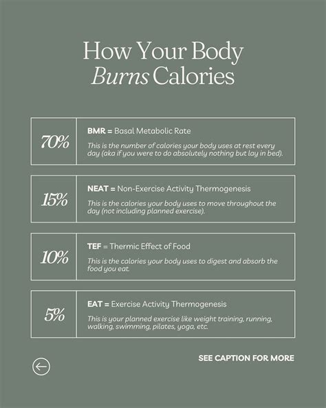 Best 13 Bmr Calculator Basal Metabolic Rate Artofit