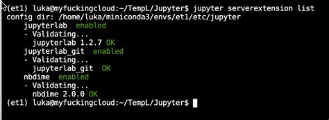 Conflict Dependencies Trying To Install On Jlab 124 127 · Issue 563 · Jupyterlabjupyterlab
