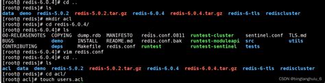 Redis 核心数据结构 And Redis 6 新特性详redis627新特性 Csdn博客