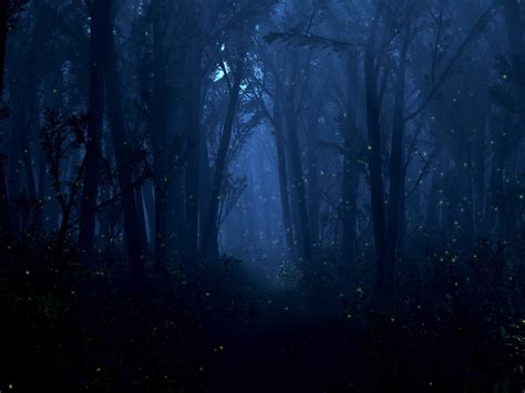 Fond d ecran Lucioles forêt Wallpaper