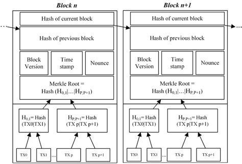 The Structure Of Blocks In The Blockchain Download Scientific Diagram