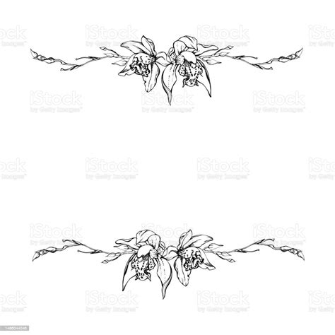 손으로 그린 벡터 잉크 난초 꽃과 가지 단색 자세한 개요 수평 프레임 구성 흰색 배경에 격리 벽 예술 결혼식 인쇄 문신 표지 카드를위한 디자인 0명에 대한 스톡 벡터 아트