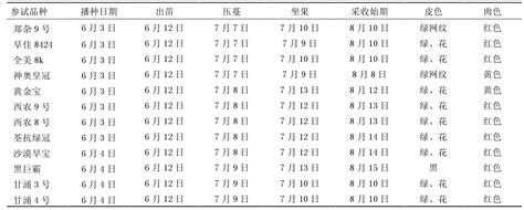 常见西瓜品种性状产量结构对比试验及种植效益分析 参考网