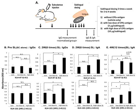 Enhancement And Induction Of Igg And Iga Abs Specific To Nab Epitopes