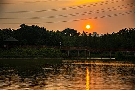 아름다운 풍경 황혼 일몰 사진 배경 아름다운 밤의 장막 강림절 배경 일러스트 및 사진 무료 다운로드 Pngtree