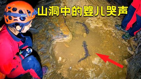 深山中的神秘洞穴里传出婴儿哭声，小伙闯入洞道深处，竟发现了这种罕见生物！户外小北哥户外探险 Youtube