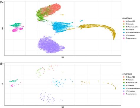 Uniform Manifold Approximation And Projection Of The Test Set Based On Download Scientific