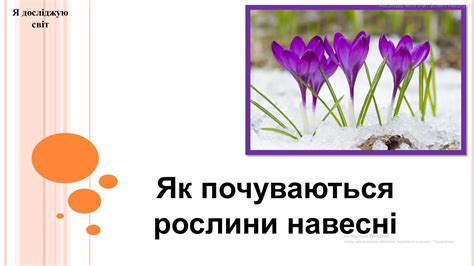 Я досліджую світ 2 клас за підручником Т Гільберг Youtube