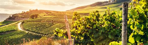 Github Jorgerodriguezmwinek Meansclustering Repository For The Wine