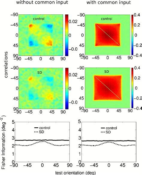 Figure 7 From The Effect Of Neural Adaptation Of Population Coding Accuracy Semantic Scholar
